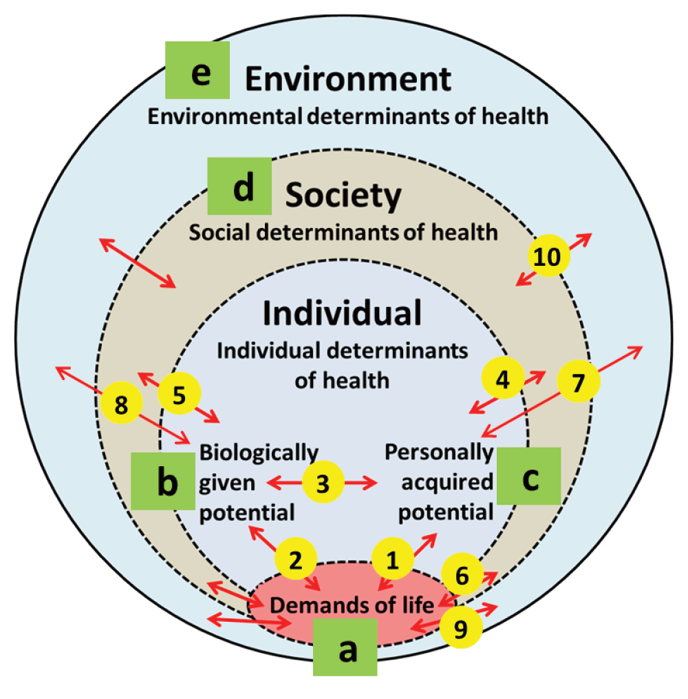 Identification and Neural Networks - 6 CFU (since 24-25) - Mechatronics ...